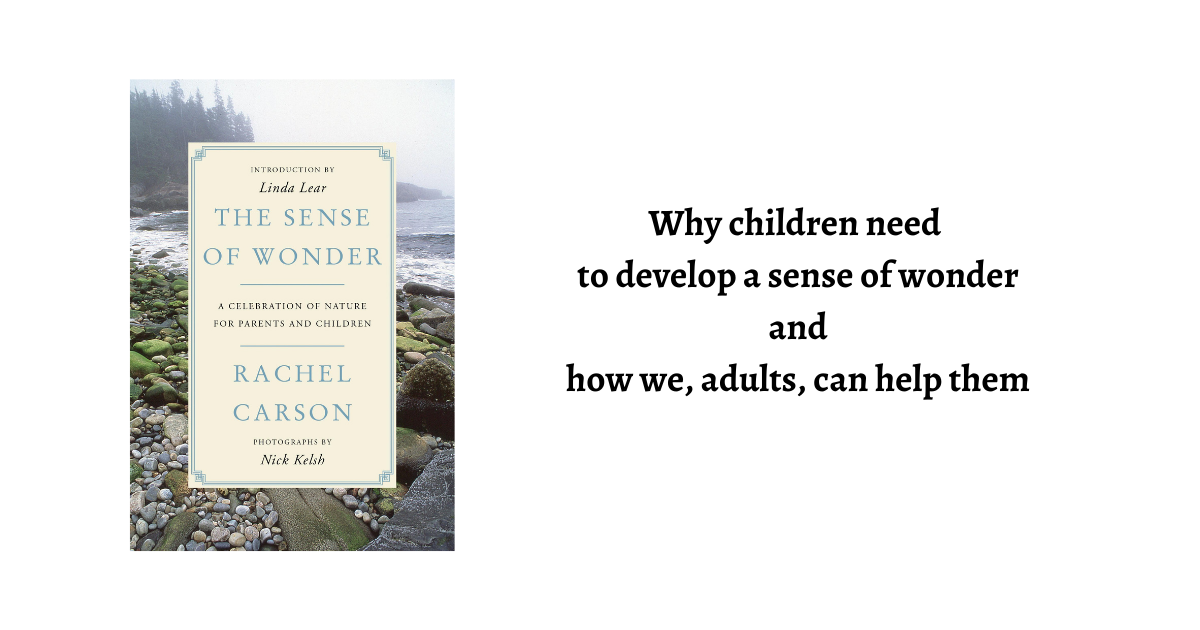 6 Ways to Develop the Sense of Wonder - Mr Fox Crafts - handmade wooden ...